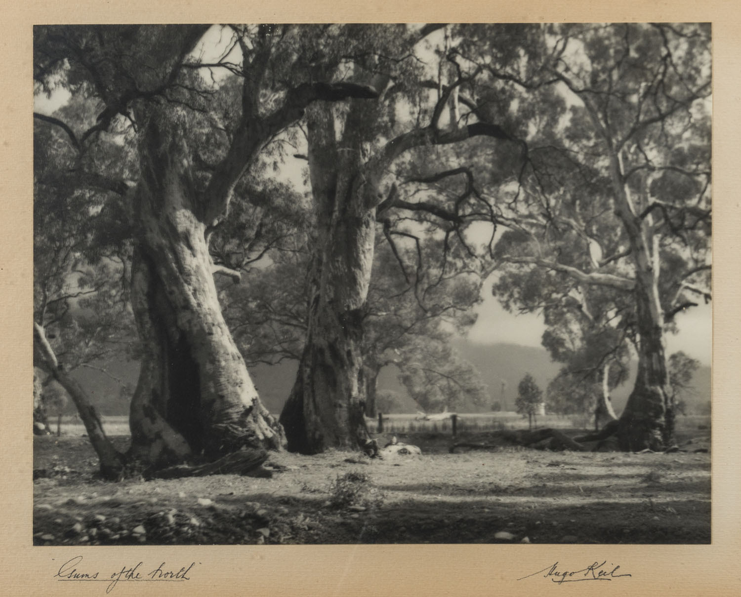 Hugo Keil (1914-1969) Gums of the North Silver gelatin print