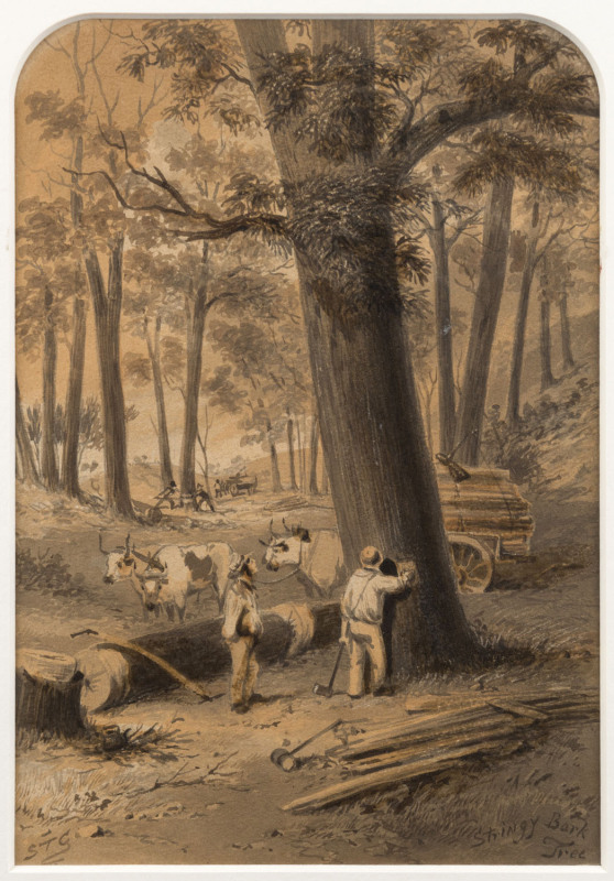 SAMUEL THOMAS GILL (Britain, Australia, 1818-1880) A suite of five (5 ...