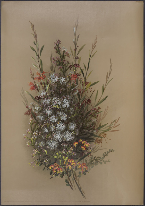HAZZARD, Margaret & HEWSON, Helen, Flower Paintings of Ellis Rowan from ...