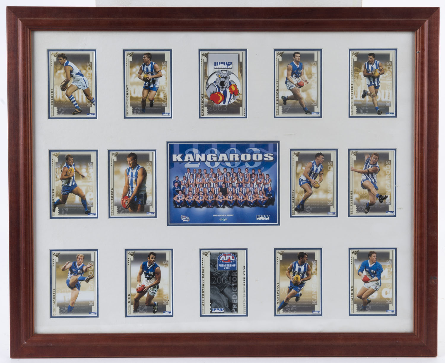 NORTH MELBOURNE: Team of the Century attractive display by Weg's World ...