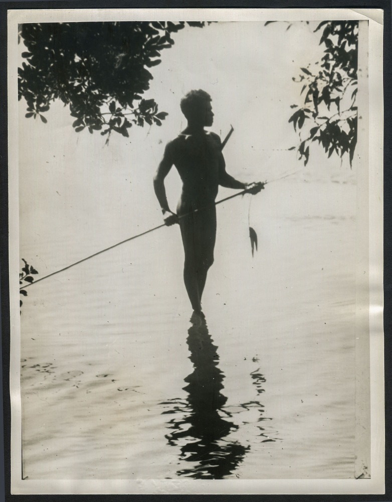 DONALD F. THOMSON (1901 - 1970) IN FAR NORTH QUEENSLAND, 1928: An ...