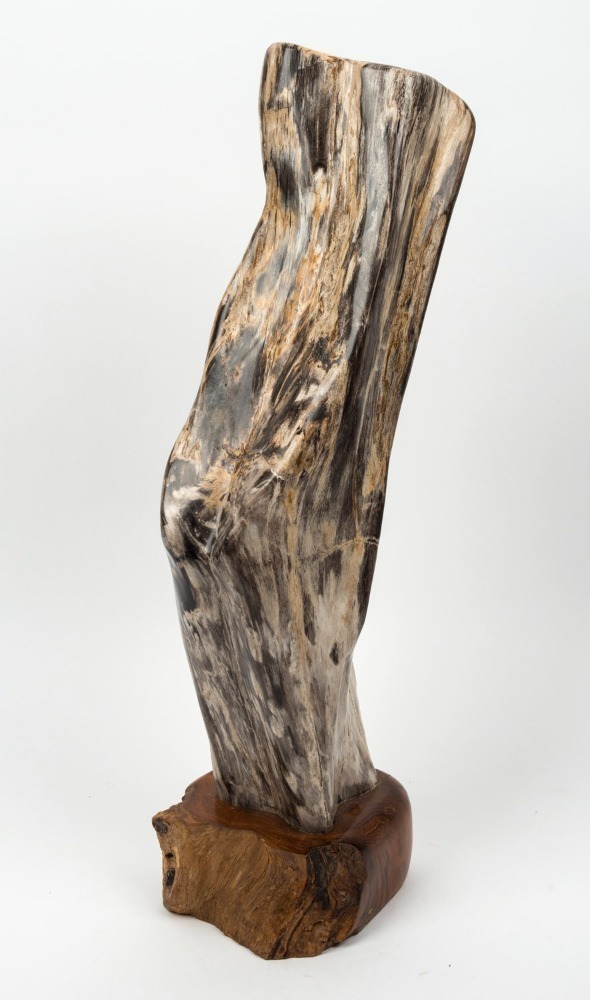 FOSSILIZED WOOD specimen mounted on a timber plinth, 51cm high