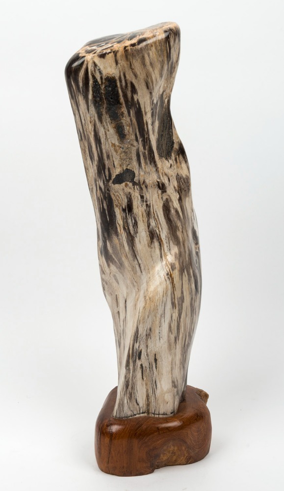FOSSILIZED WOOD specimen mounted on a timber plinth, 51cm high