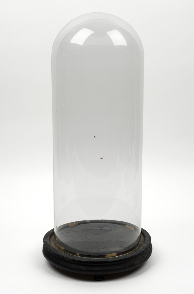 An antique cylindrical glass dome with ebonised timber base, 19th ...