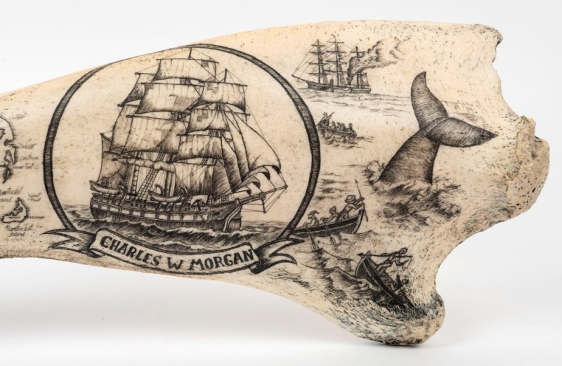 CHARLES W. MORGAN impressive scrimshaw carving on false killer whale ...