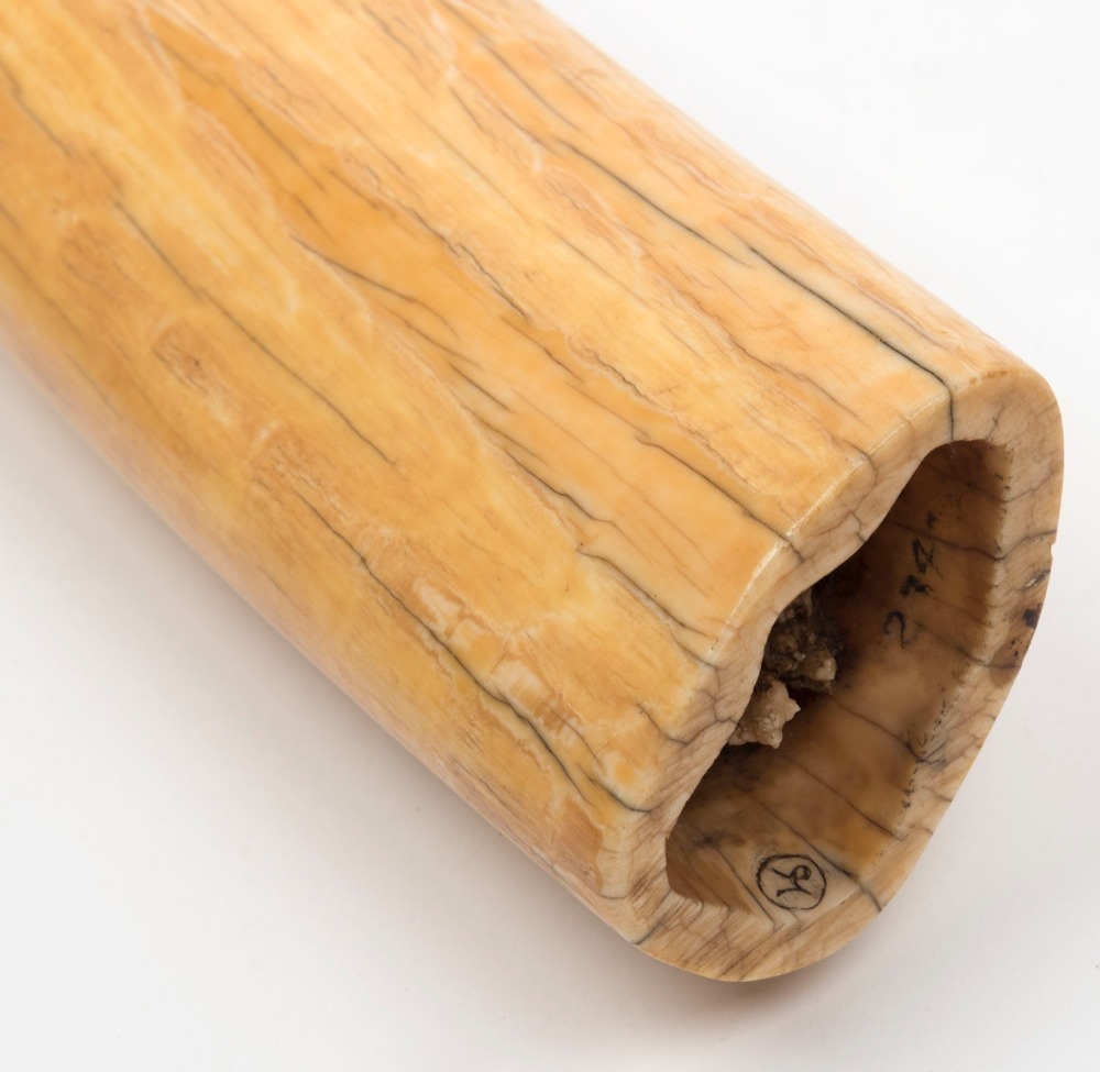 An antique walrus tusk with high relief carving of a tallship and ...