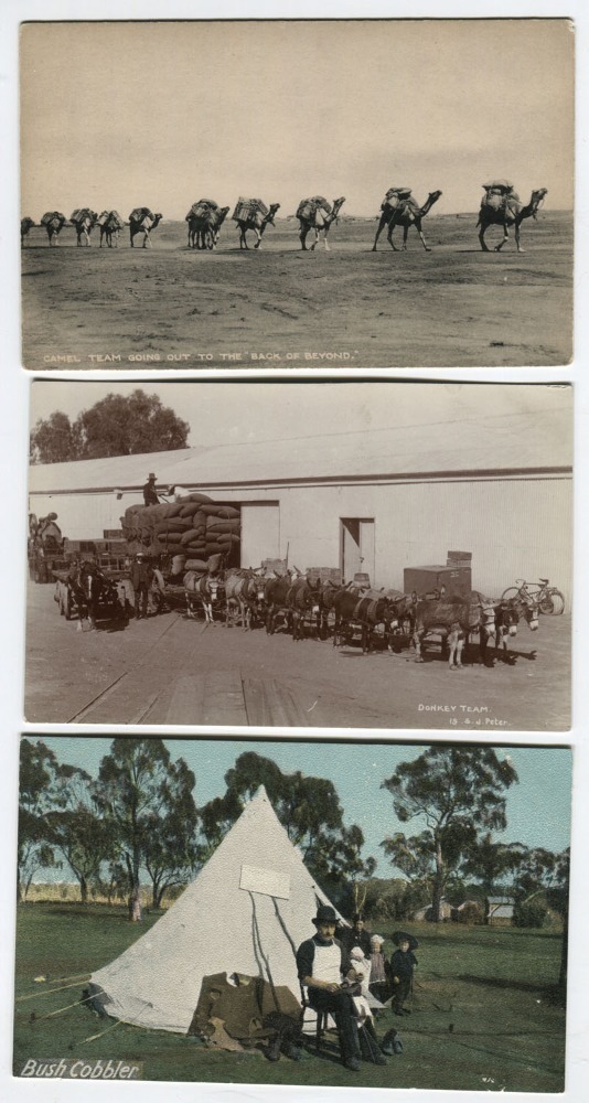 Postcards: AUSTRALIA - EARLY COUNTRY LIFE: A collection of postcards ...