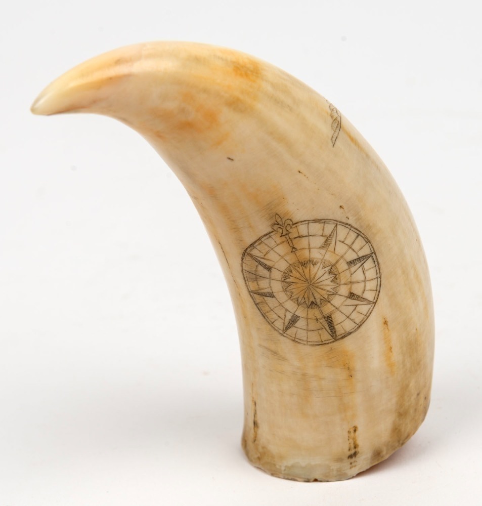 A scrimshaw whale's tooth engraved with tallship below an American ...