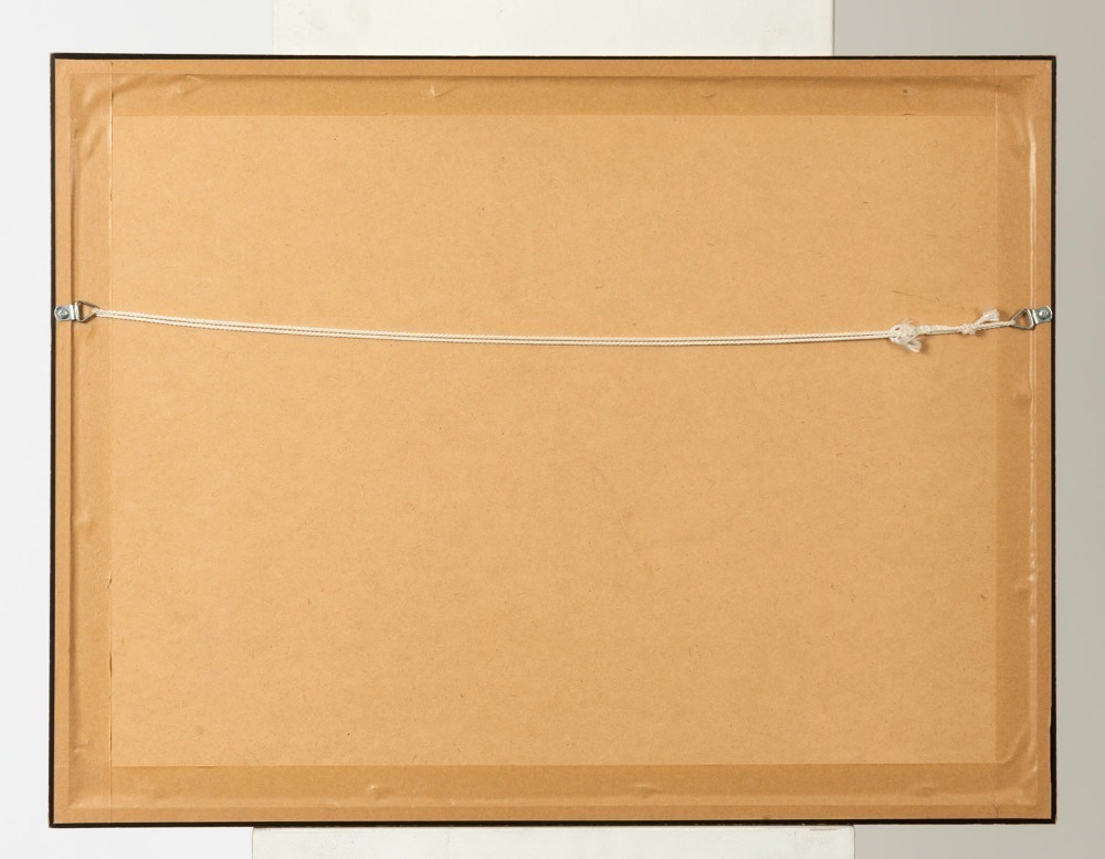 1899 AUSTRALIAN FEDERAL REFERENDUM CERTIFICATE: lithographed coloured ...