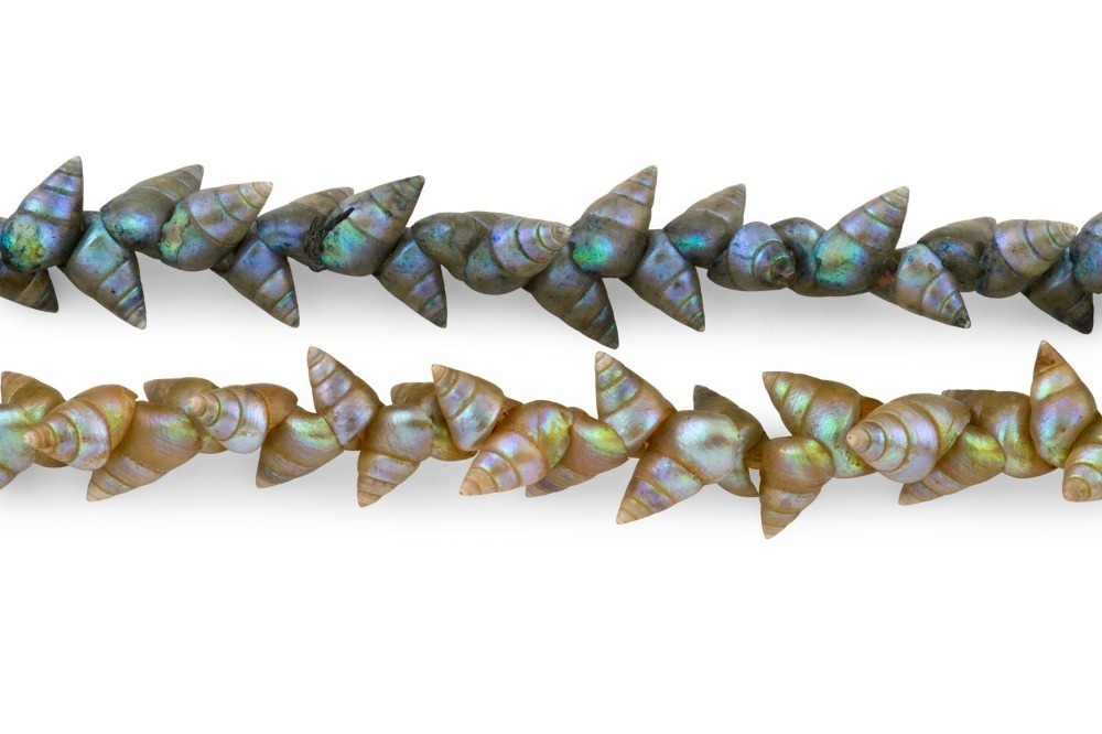 A triple strand Tasmanian mariner shell bead necklace, 62cm long