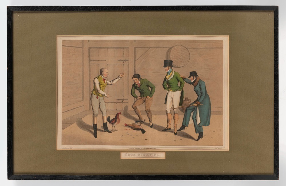 COCK FIGHTING antique hand-coloured English engraving, published in ...