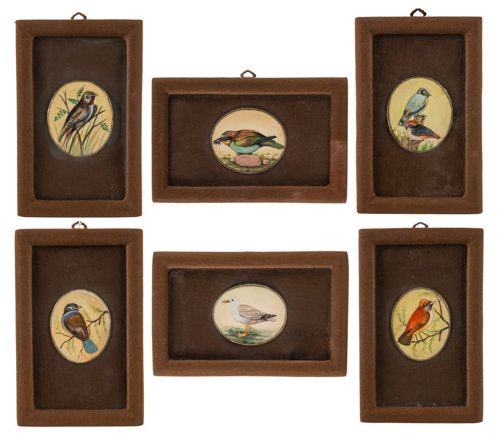 Set of six Indian oval miniature bird paintings on ivory, all mounted ...