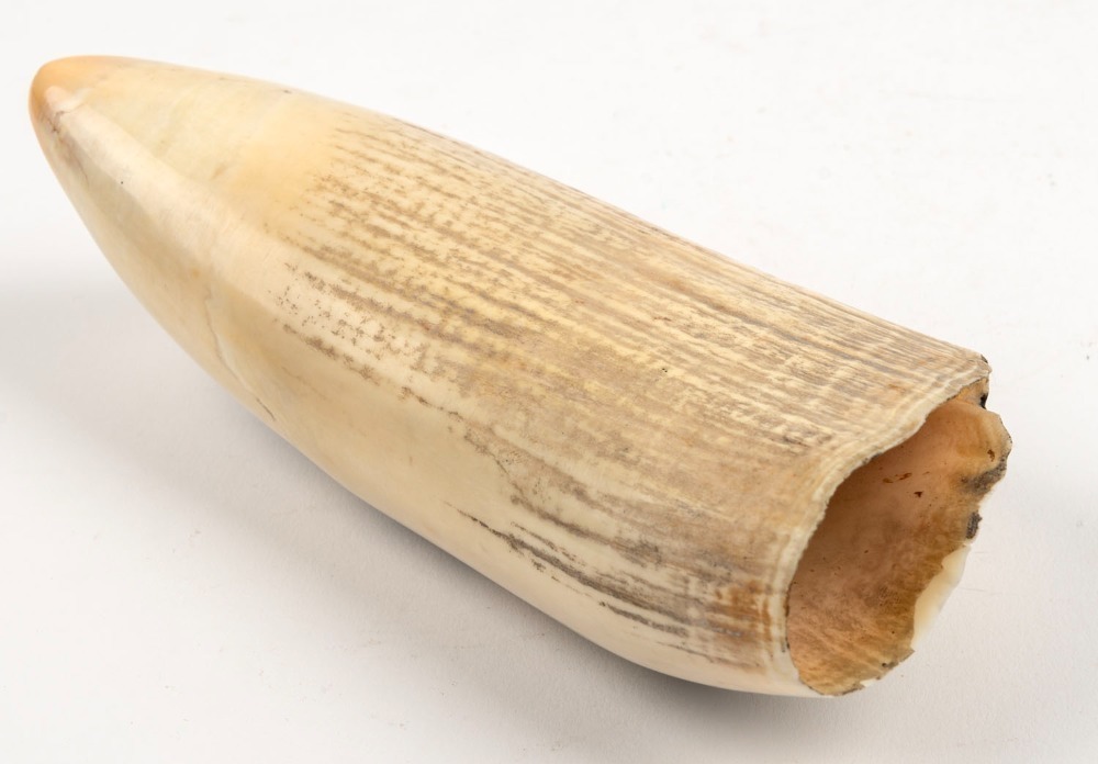 GARY TONKIN scrimshaw whale's tooth engraved with scene of a mother ...