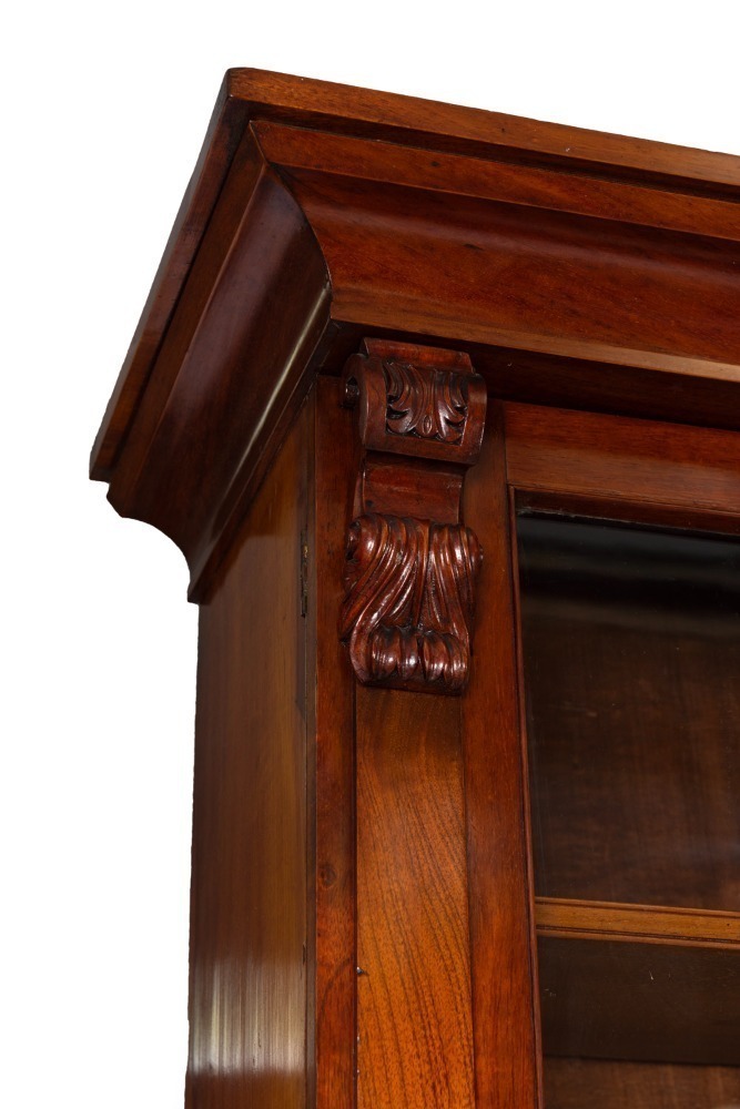 An antique Australian cedar two door secretaire library bookcase with ...
