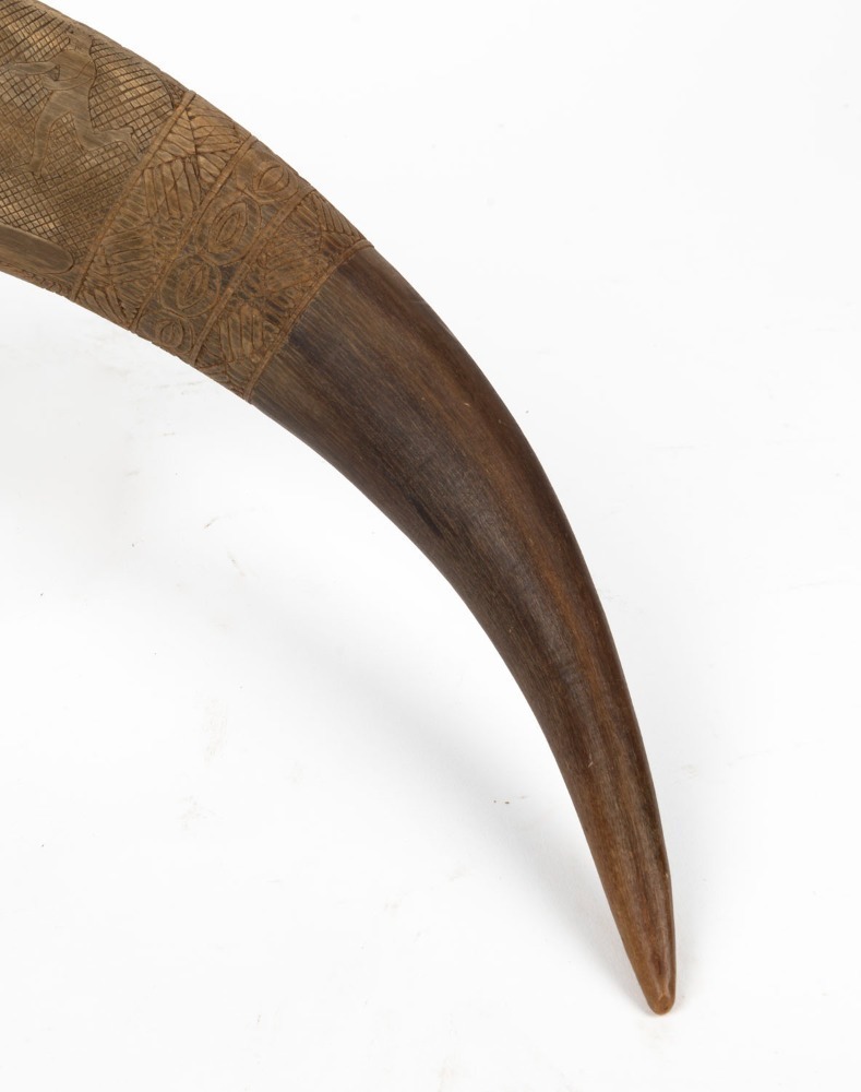 An impressive pair of antique Australian scrimshaw cow horns carved ...