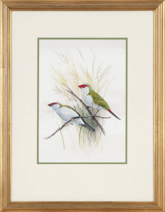 NAPIER, Terry (Australian) A pair of finches, signed at left ...
